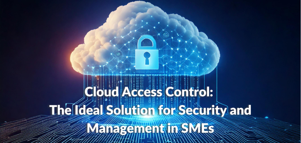 Cloud Access Control: The Ideal Solution for Security in SMEs