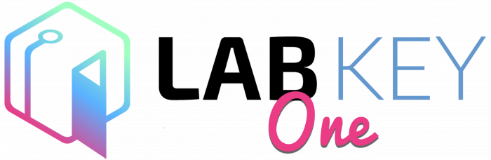 How does the system for accessing gates work? - LabKey.io